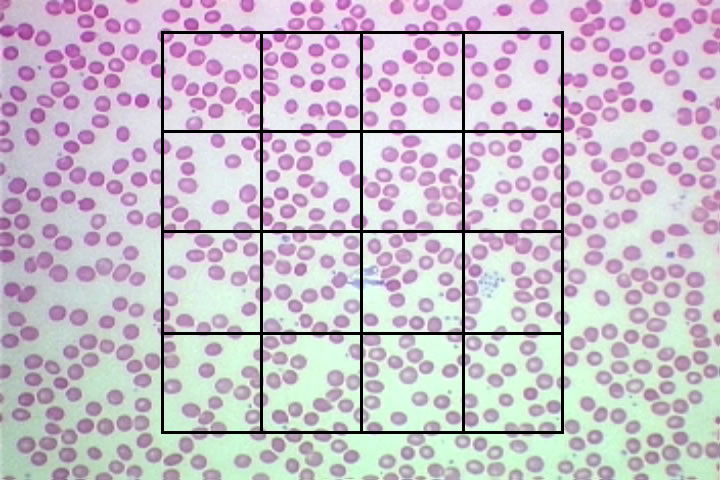 Untitled Document [blog.valdosta.edu]