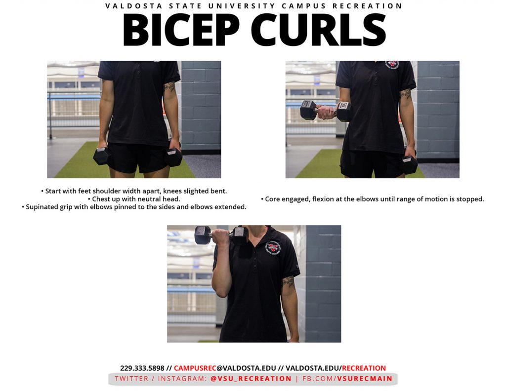 Bicep Curl